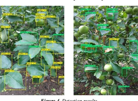 Figure 4 From Detection Of Apple Leaf Diseases Using Faster R Cnn Semantic Scholar