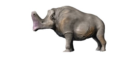 Embolotherium Prehistoricpokemon Wiki Fandom