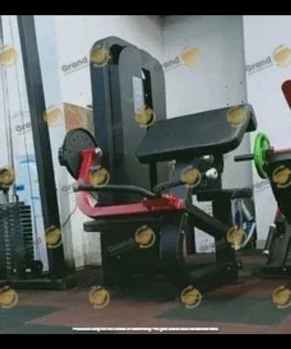 Bicep And Tricep Curl Machine Model Name Number Gsf Bctc At Rs 40000 In Greater Noida
