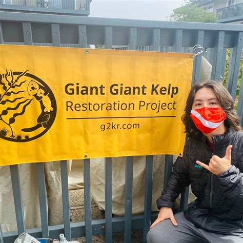 Giant Giant Kelp Restoration Project G2krproject • Instagram Photos