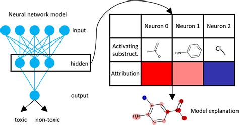 Interpreting Neural Network Models For Toxicity Prediction By Extracting Learned Chemical