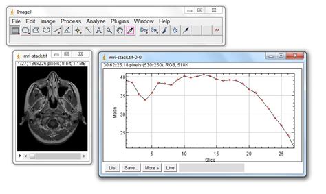 my imagej เมนู image with imagej [ตอนที่ 31] stacks การแสดงกราฟ mean