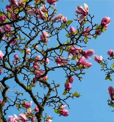 Sneha Tripathi On Linkedin Thought Of The Night 🤣 We Are Asked Things