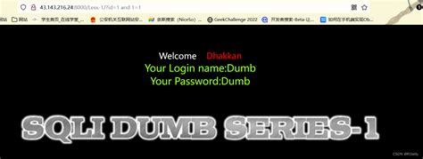 Sql Labs通关教程 Csdn博客