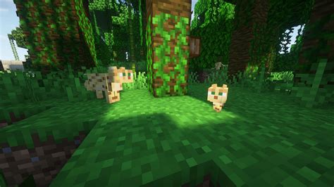 Ocelot Minecraft Achtergrond Ocelot Minecraft Mob Skins Planet