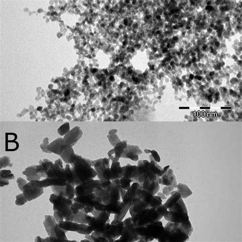 Preparation Route Of Zro 2 And Zro 2 Y 2 O 3 Powders Download