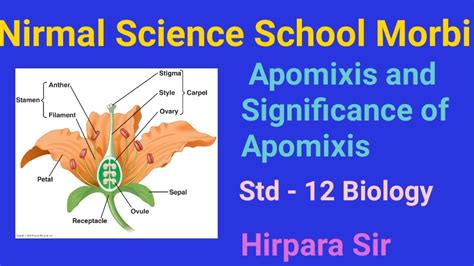 Apomixis And Significance Of Apomixis BIOLOGY Std 12 Chap 2 Hirpara Sir YouTube