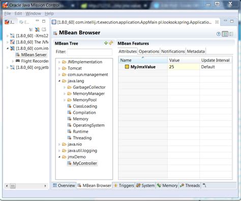 Spring Jmx Manage Beans In Runtime Looks Ok