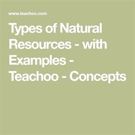 Types Of Natural Resources With Examples