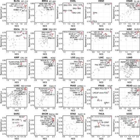genome wide classification of all protein coding genes in human cancer