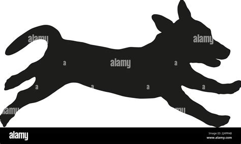 Running And Jumping Jack Russell Terrier Puppy Black Dog Silhouette