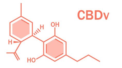 What Is Cannabidivarin Cbdv Cfah