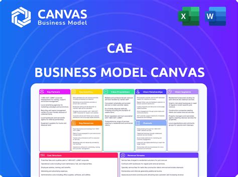 Cae Business Model Canvas