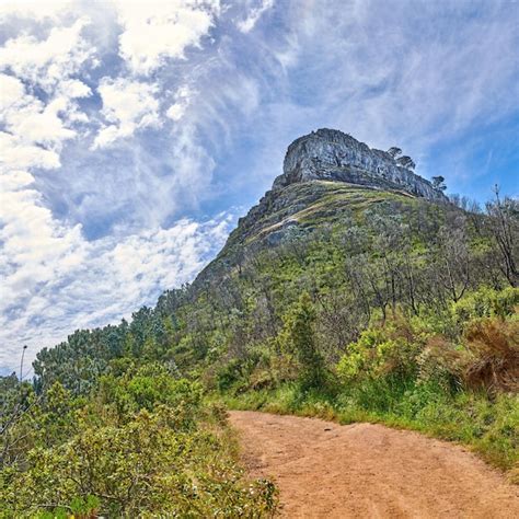 Page 21 Eswatini Nature Images Free Download On Freepik