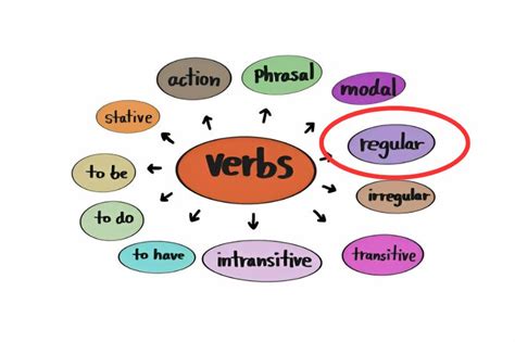 Regular Verb Arti Contoh Bedannya Dengan Irregular Verb