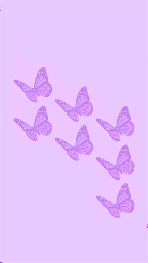Download A Subtle Light Purple Solid