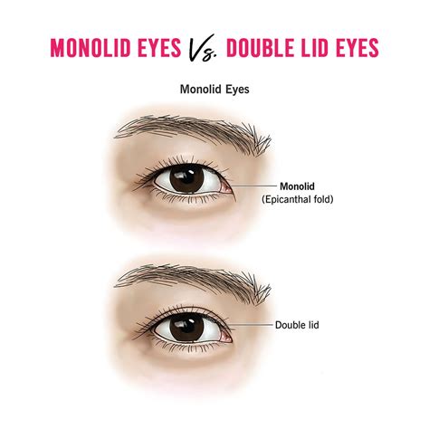 Asian Eyelash Extensions Exploring Typical Eye Shape And The Best Lash