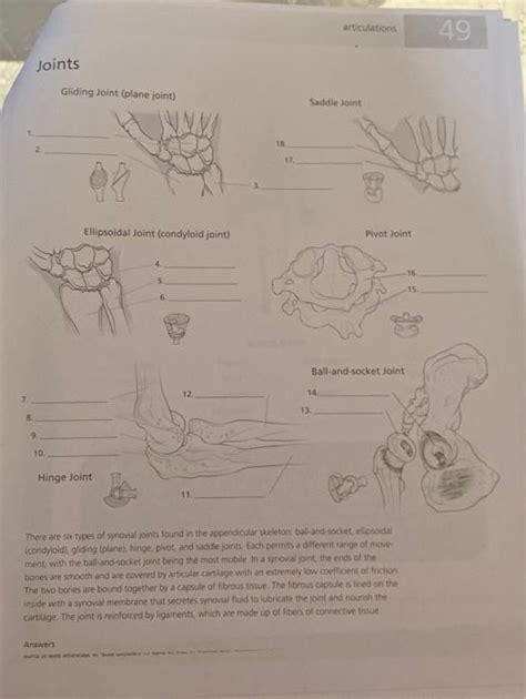 Solved Articulations 49 Joints Gliding Joint Plane Joint