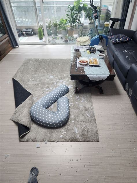 형님들은 절대로 기타 스포츠 에펨코리아