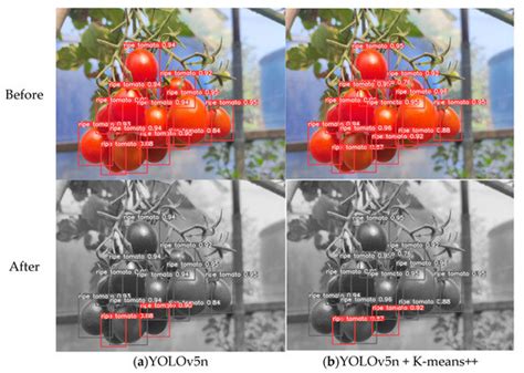 A Lightweight Cherry Tomato Maturity Real Time Detection Algorithm Based On Improved Yolov5n