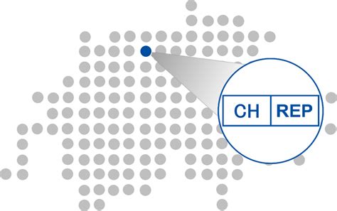 Swiss Rep Services Provided By Avanti Europe