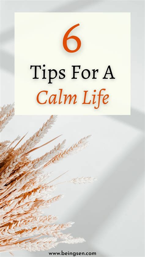 Keep Calm And Carry On 6 Tips For Your Daily Life Calming Pictures Calm How Are You Feeling