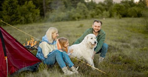 어린 소녀와 개가 있는 사랑스러운 커플의 초상화는 산을 여행하는 동안 함께 앉아 있습니다 젊은 백인 가족은 자연에서 여름 휴가를 보냅니다 사진 Unsplash의 개 이미지