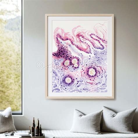 Cat Caudal Abdomen Histology Art The Forest Cloak