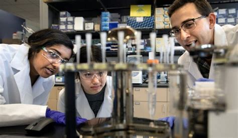 Accelerating Scientific Discoveries Ai Conducts Autonomous Experiments