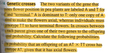 Solved Genetic Crosses The Two Variants Of The Gene