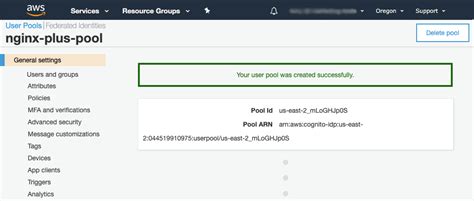 Single Sign On With Amazon Cognito NGINX Documentation