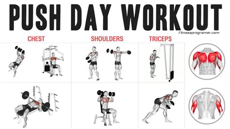 3 Day Ppl Workout Routine For Beginners
