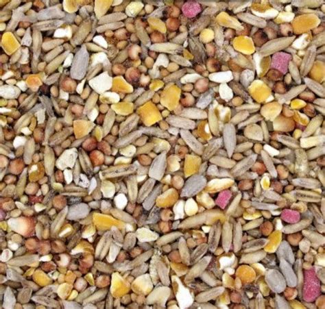 Tf Robin And Blackbird Wheat Free Pallatts Limited