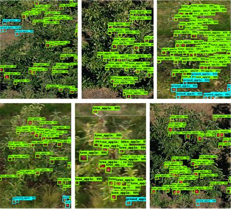 Inference Run On A Sample Of Six Images From The Test Dataset The Two