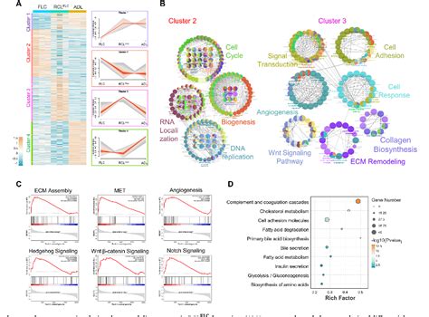 Figure 3 From Decellularized Liver Scaffolds For Constructing Drug