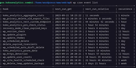 Replacing Wp Cron With A Server Cronjob Koko Analytics