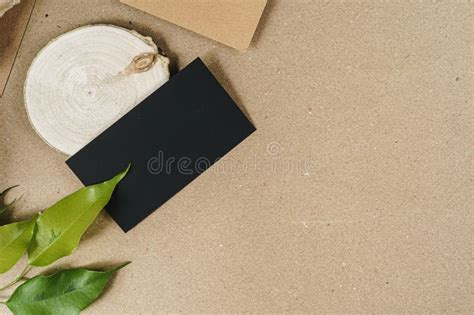 Set Of Craft Elements With Copy Space And Green Leaves Stock Photo Image Of Frame Foliage