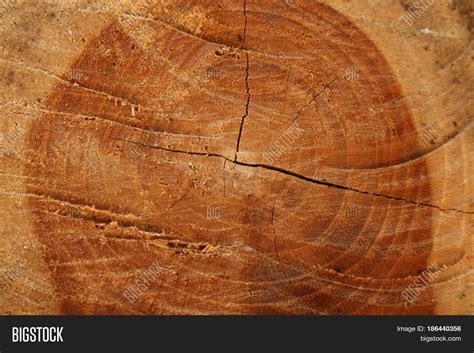 cross section surface image and photo free trial bigstock