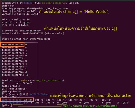 C เบื้องต้น ข้อมูลที่มือใหม่ควรทำความเข้าใจ