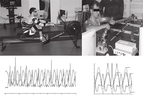 Realization Of Rowing Test Movements On Simulation Sets A Imitation