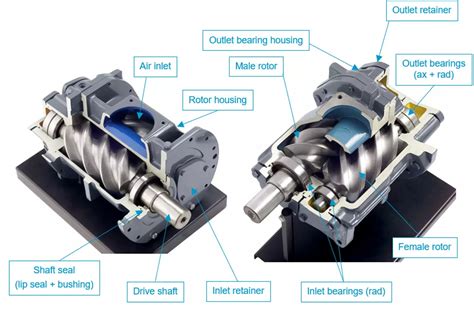 Rotary Compressors Comprehensive Guide On Mechanisms Applications And Industry Insights Aivyter