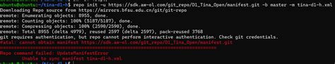 git requires authentication but repo cannot perform interactive