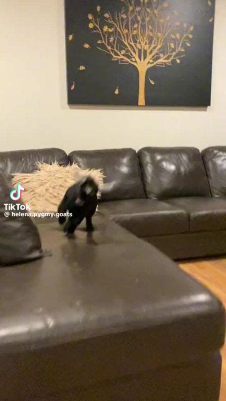 Post Run Of The Milf Tumblr Com Tumbex