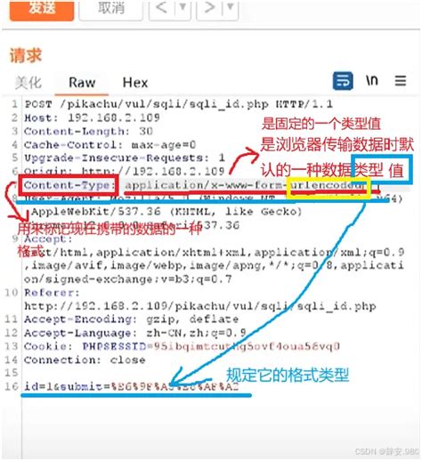 新手入门sql注入分类之json数据类型sql Json Csdn博客