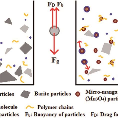 Sag Schematic Diagram Of Barite And Mn3o4 Download Scientific Diagram