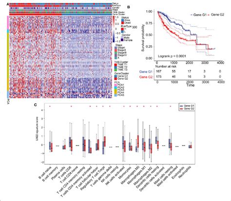 Construction Of Gene Clusters And Association Between Time Signature