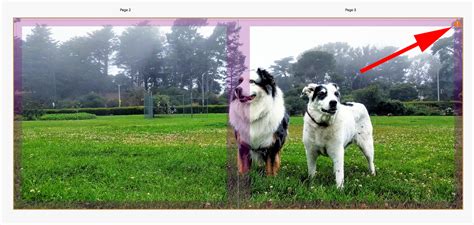 Avoid Image Compression Issues Help Center