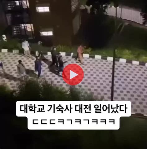 호그와트 기숙사 대전 발발 Mp4 유머 움짤 이슈 에펨코리아