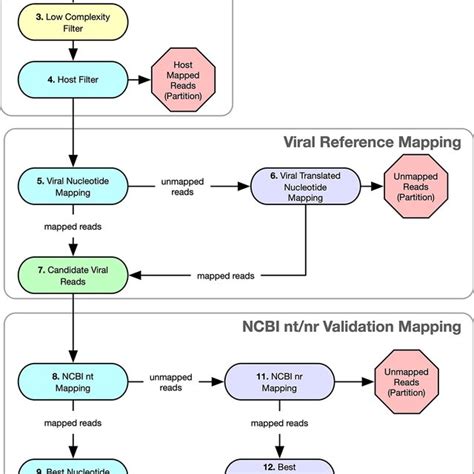 Viromatch Pipeline Workflow 1 To 3 Input Sequences Are Prepared For