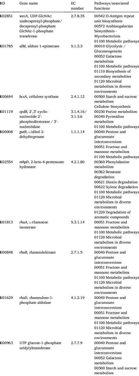 Kegg Functional Assignment Of Unique Genes From Strong Biofilm Forming
